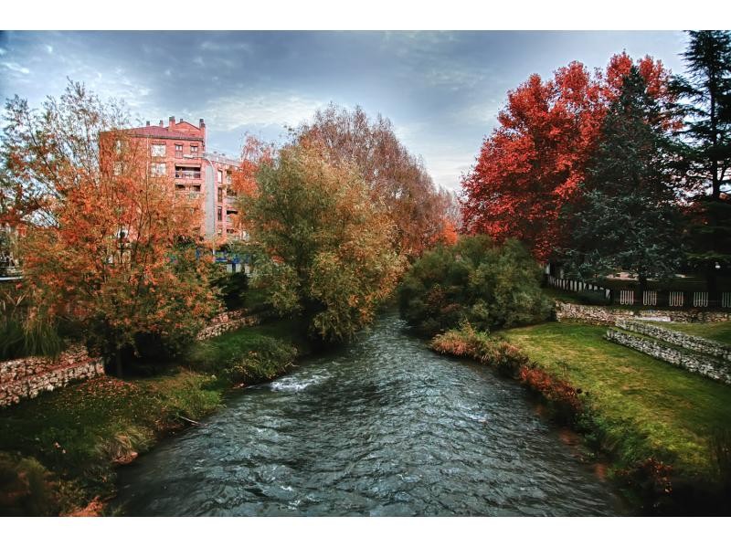 río jalón