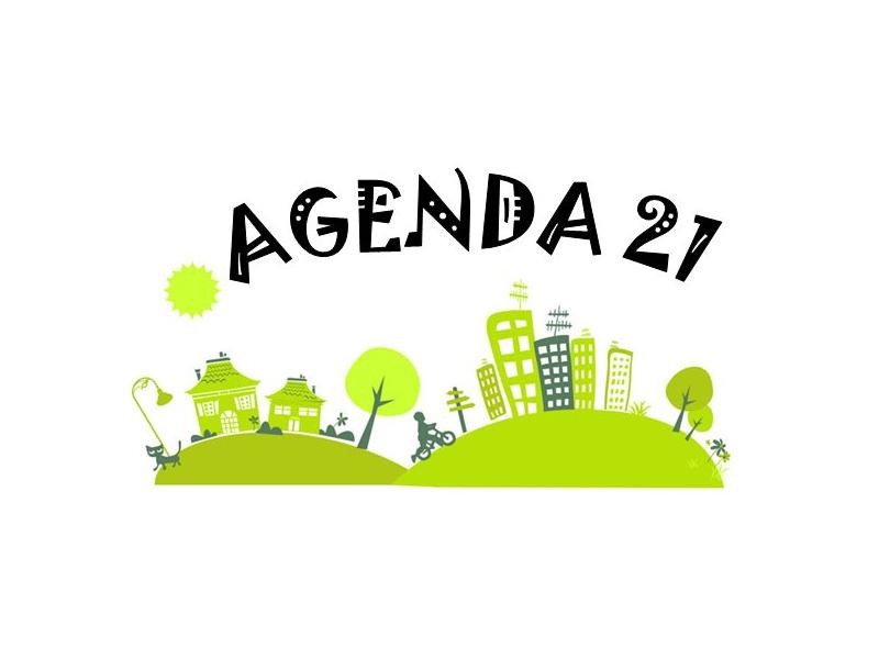 líneas de ayudas y subvenciones que impulsa la agenda 21 local